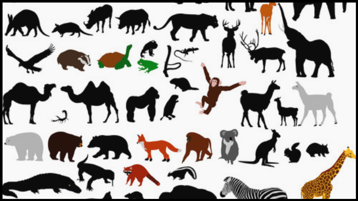 How To Build Your World: Fauna – Author Ari Meghlen Official Website