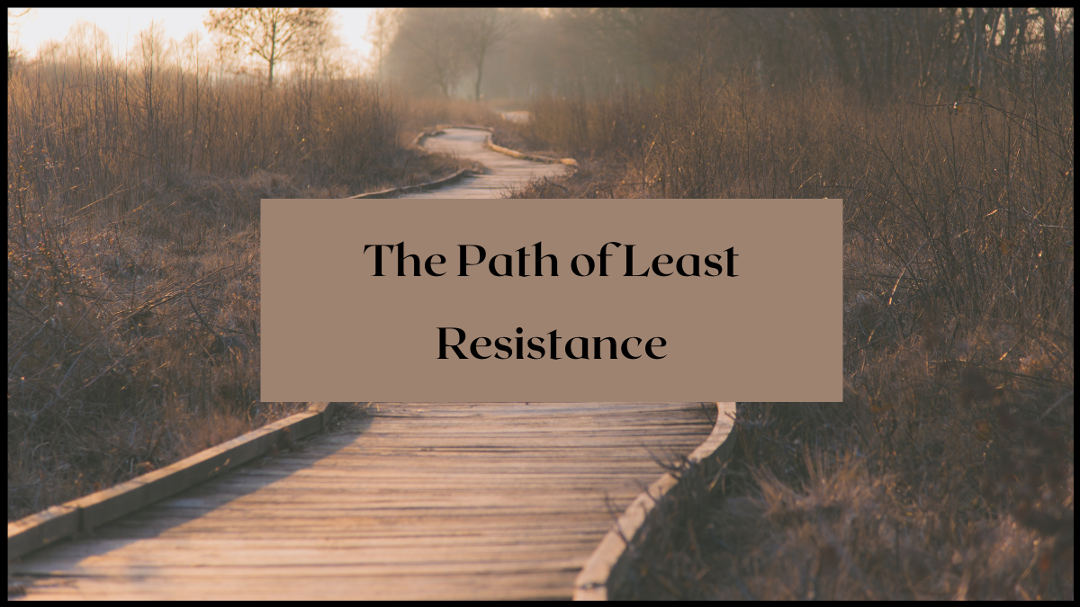 The Path Of Least Resistance – Author Ari Meghlen Official Website